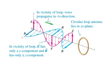 Solved A circular loop of wire can be used as a radio | Chegg.com