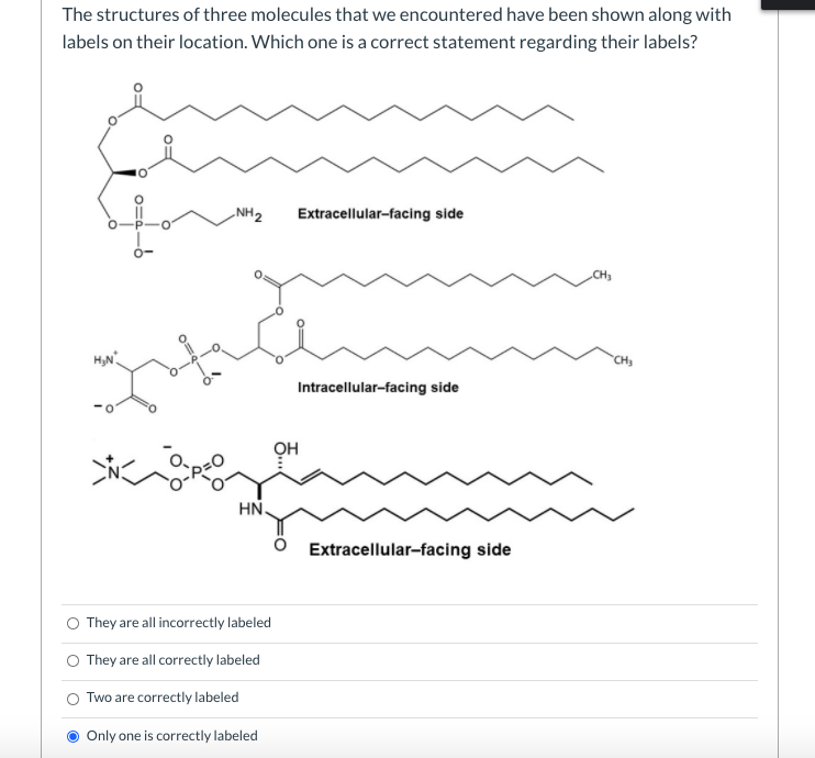 Solved The structures of the three molecules that we | Chegg.com