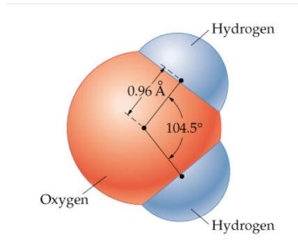 Solved A water molecule is shown schematically in the figure | Chegg.com