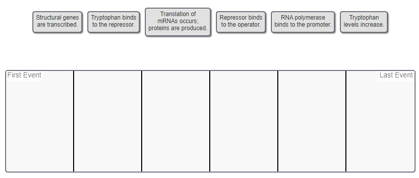 Solved Order the correct sequence of events for the | Chegg.com