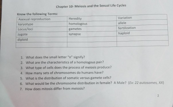 Solved Chapter 10- Meiosis and the Sexual Life Cycles Know | Chegg.com