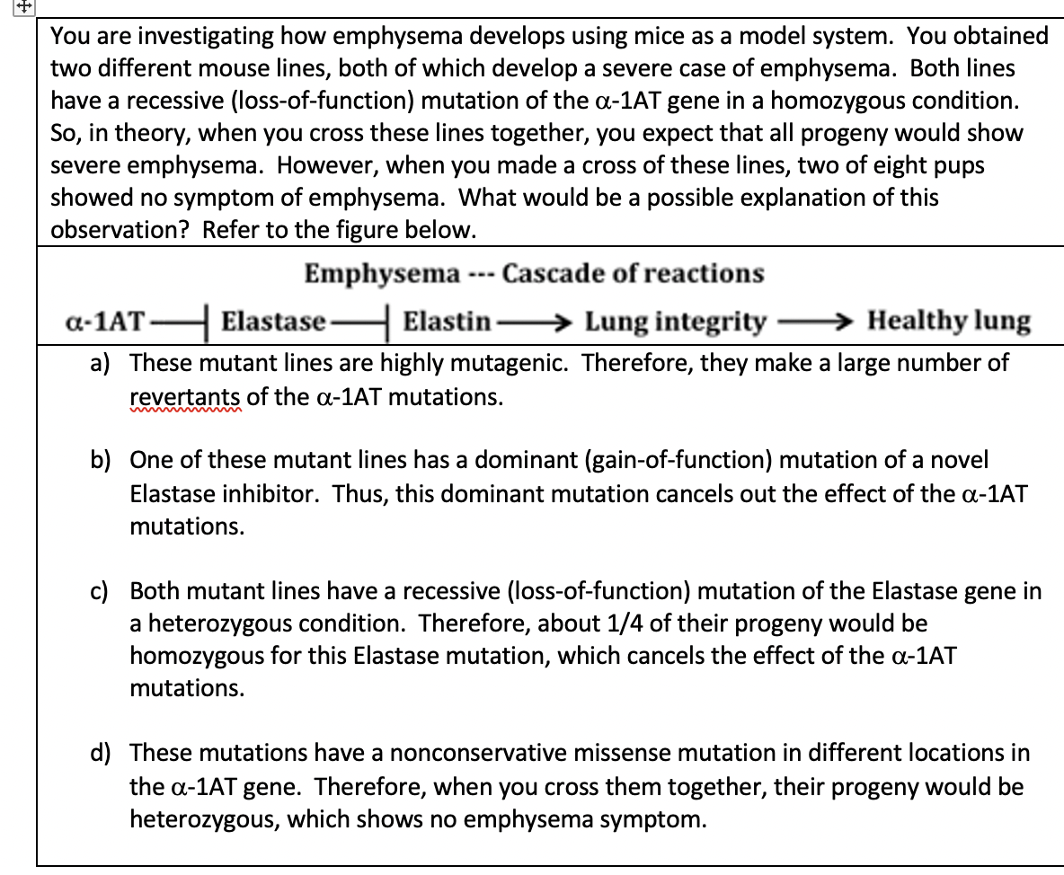 Solved + You are investigating how emphysema develops using | Chegg.com