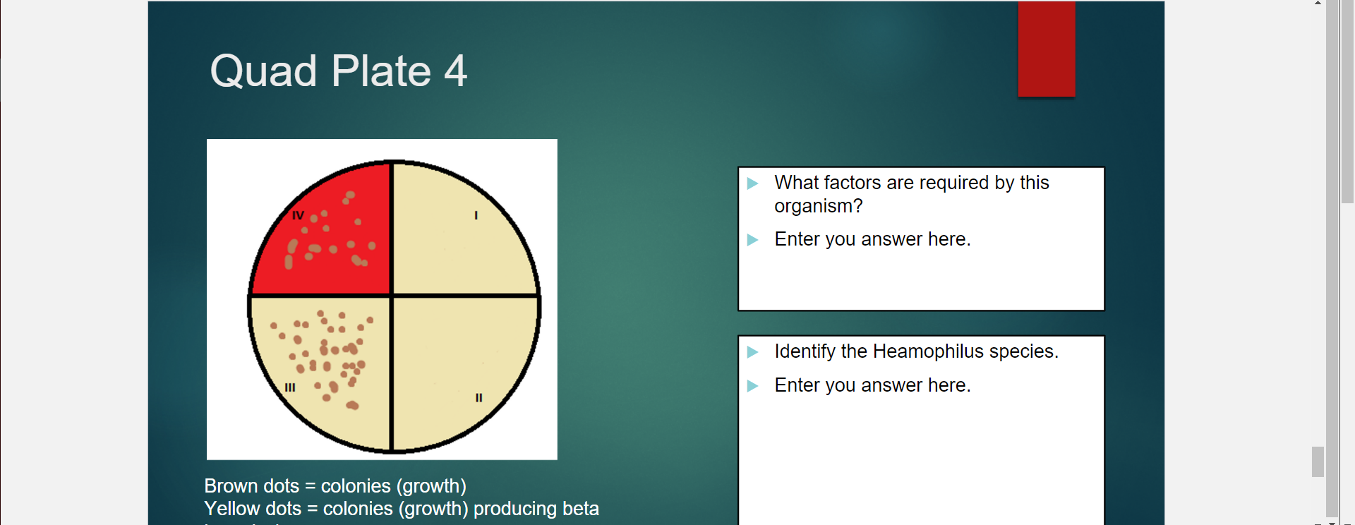 Quad Plate 1 What factors are required by this | Chegg.com