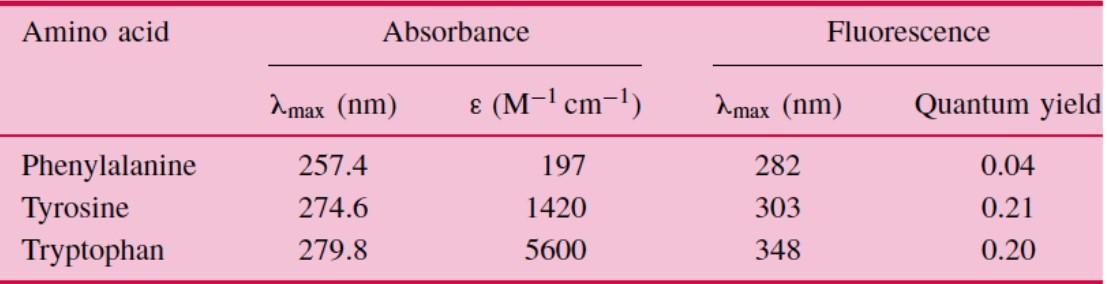 Solved why does tryptophan have the highest absorbance and | Chegg.com