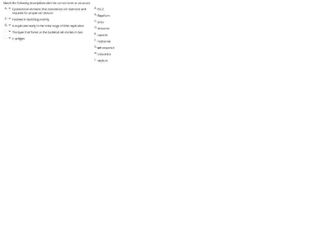 Solved Match the following descriptions with the correct | Chegg.com