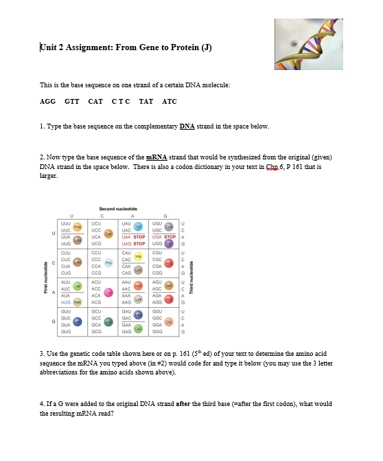 Solved Unit 2 Assignment: From Gene to Protein (J) This is | Chegg.com