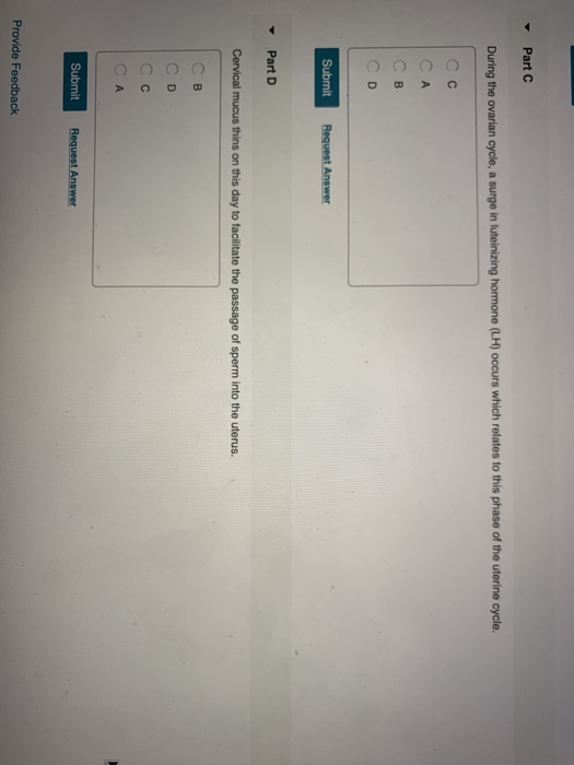 Solved Reproductive System Chapter 26 Matching Questions | Chegg.com