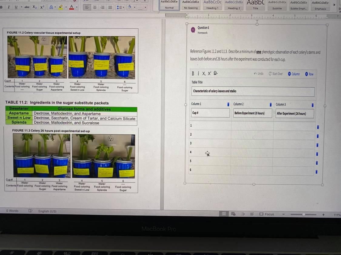 AaBbccDdEe AoBbc dee B IU.abe X, X? АавьсcodЕe | Chegg.com