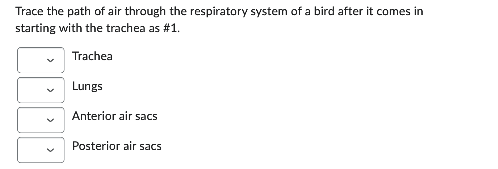 Trace the path of air through the respiratory system | Chegg.com