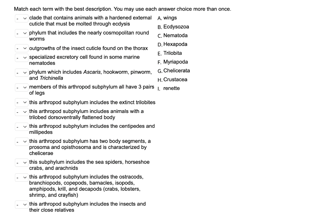 Solved Match each term with the best description. You may | Chegg.com