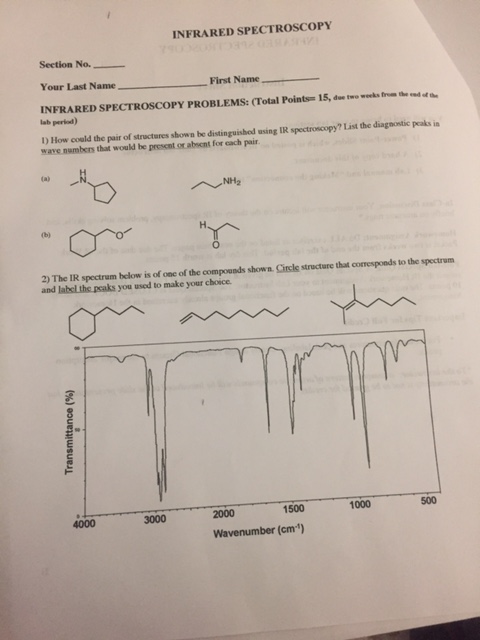 Solved INFRARED SPECTROSCOPY Section No. Your Last Name | Chegg.com