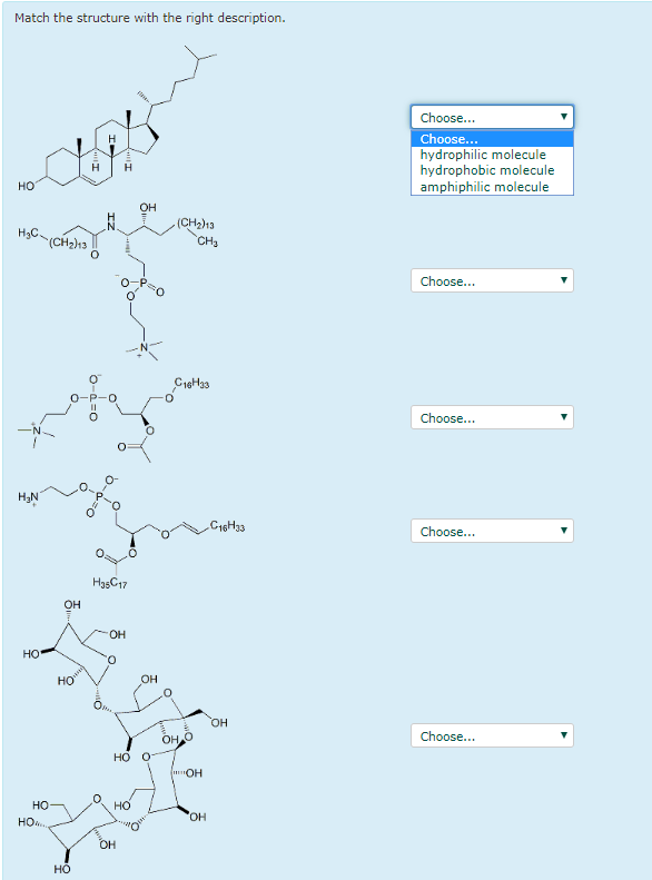 Match the structure with the right description. | Chegg.com