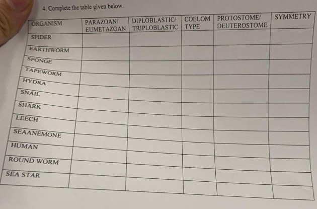 Solved 4. Complete the table given below. SYMMETRY ORGANISM | Chegg.com