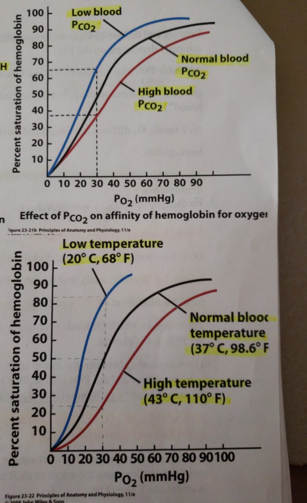 Solved Tissue hypoxia will cause the oxyhemoglobin curve to | Chegg.com