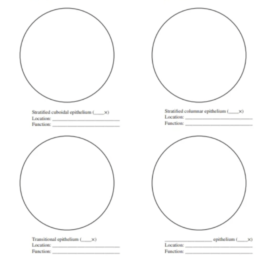 Solved Each circle below represents the field of view as | Chegg.com