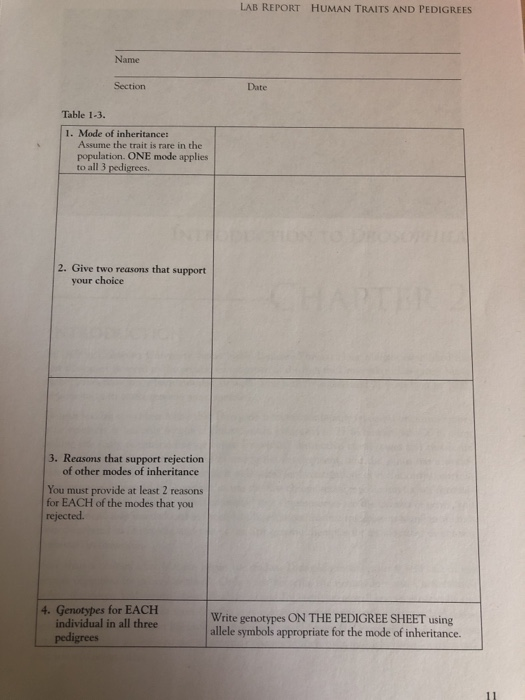 LAB REPORT HUMAN TRAITS AND PEDIGREES Name Section | Chegg.com