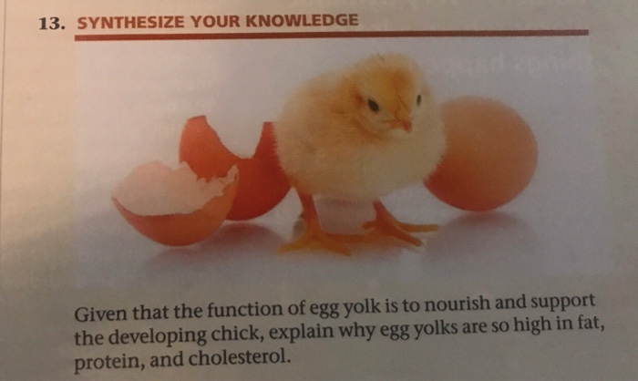 Solved 13. SYNTHESIZE YOUR KNOWLEDGE Given that the function | Chegg.com