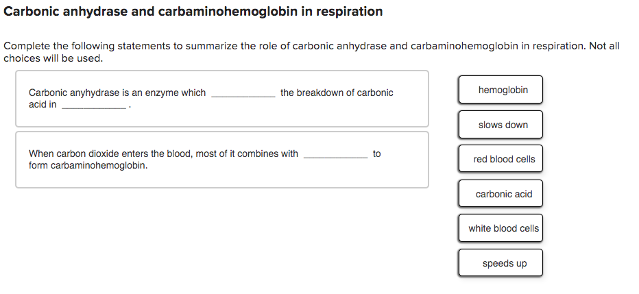 Solved Carbonic anhydrase and carbaminohemoglobin in | Chegg.com