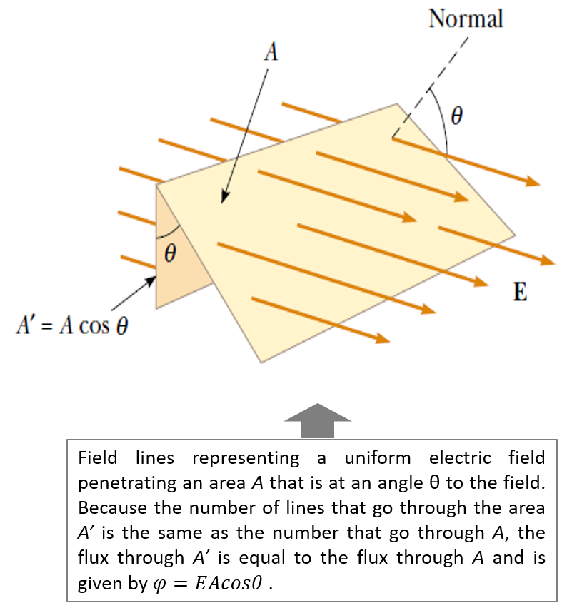 Solved can you please explain how the angle between field | Chegg.com