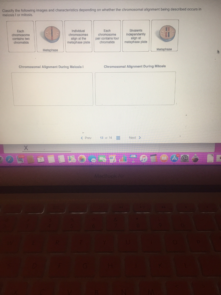 Solved Classify the following images and characteristics | Chegg.com