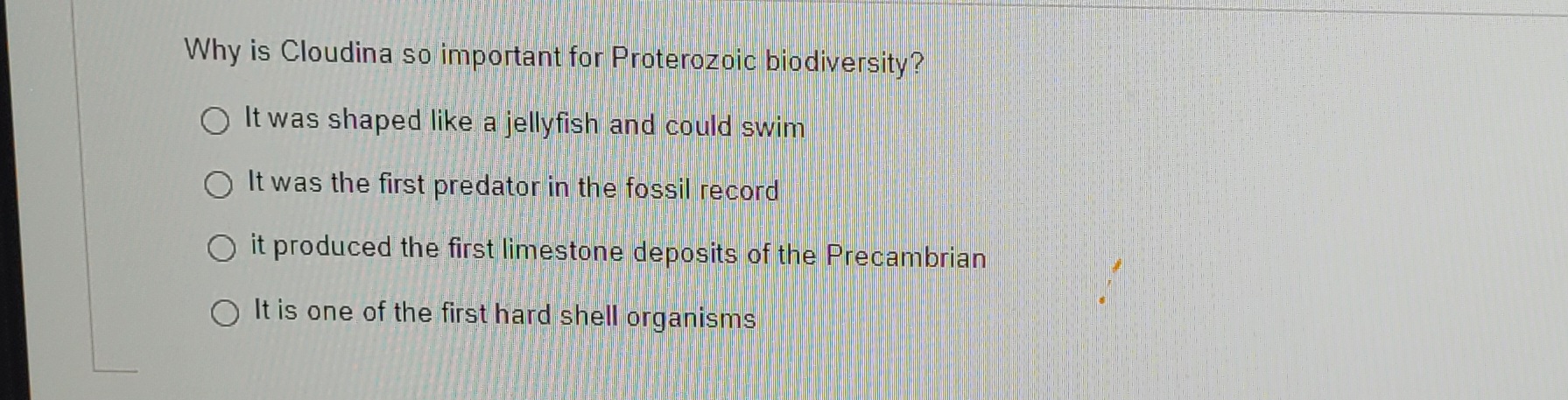 Solved Why is Cloudina so important for Proterozoic | Chegg.com
