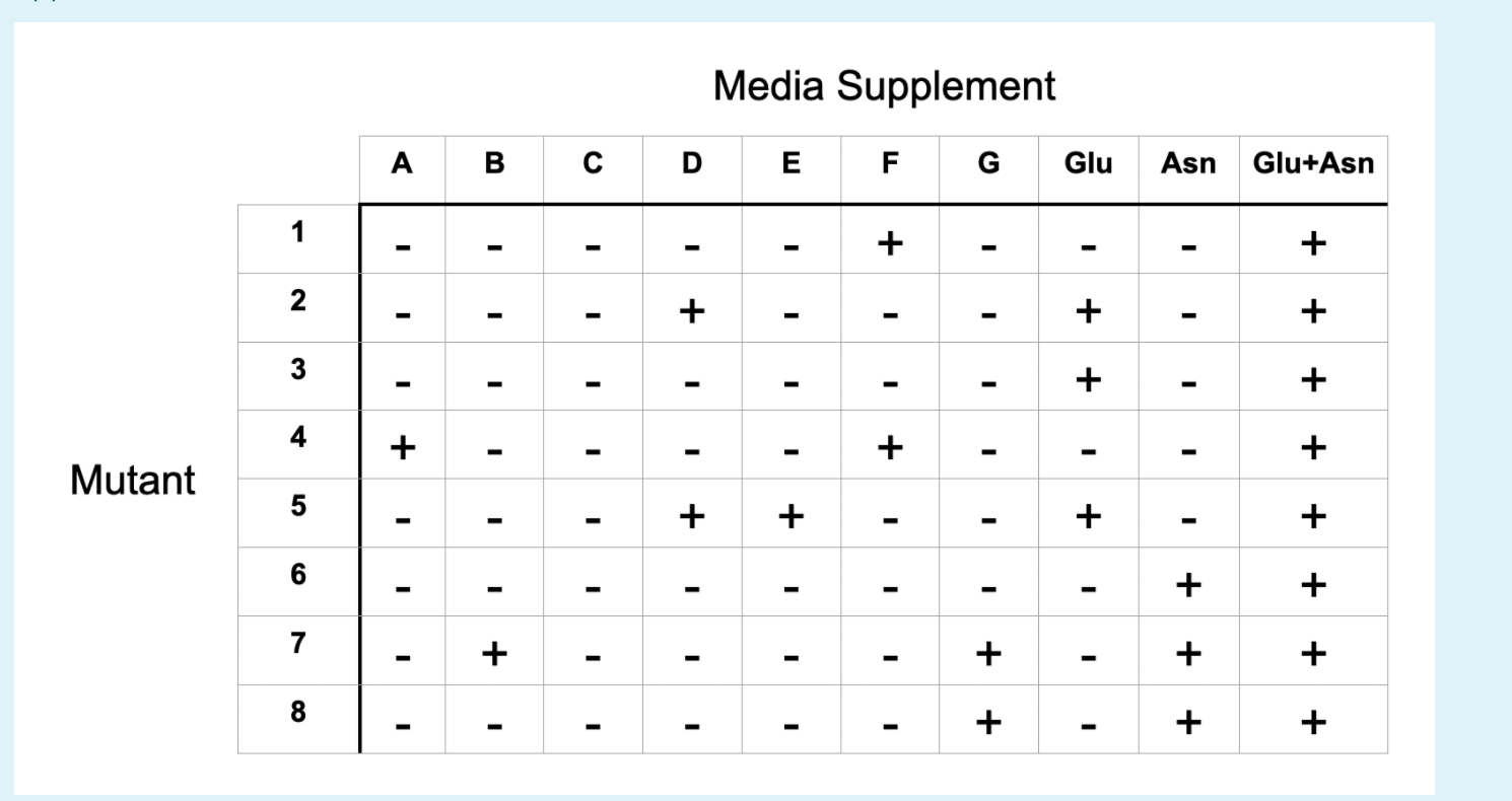 Solved Media Supplement B C D EG Glu A Asn Glu+Asn + + - - - | Chegg.com