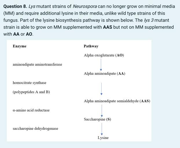 Solved a) Which enzyme(s) is defective in the lys 3 mutant | Chegg.com