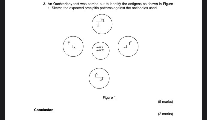 Solved 3. ﻿An Ouchterlony test was carried out to identify | Chegg.com