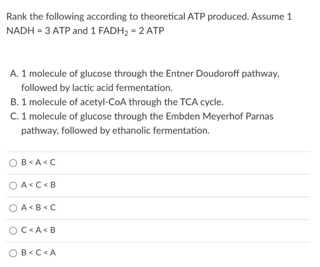 Solved Rank the following according to theoretical ATP | Chegg.com