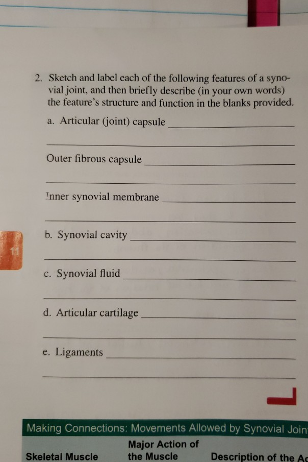 Solved 2. Sketch and label each of the following features of | Chegg.com