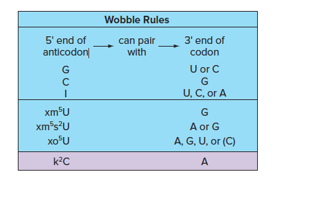 Solved What is the anticodon sequence of a nonsense | Chegg.com