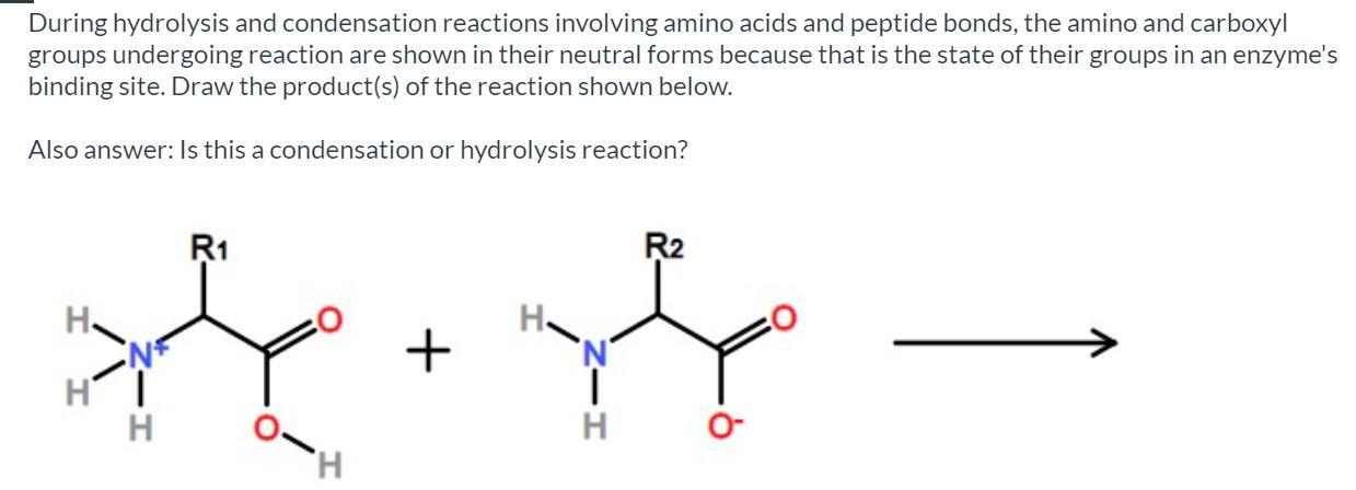 Solved During hydrolysis and condensation reactions | Chegg.com