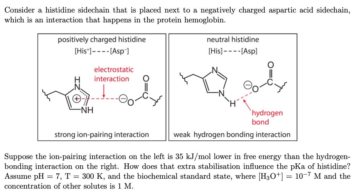 Consider a histidine sidechain that is placed next to | Chegg.com