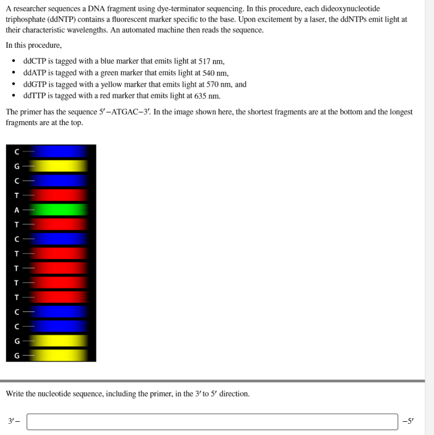 Solved A researcher sequences a DNA fragment using | Chegg.com