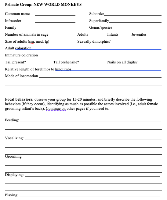 Primate Group: NEW WORLD MONKEYS Common name | Chegg.com