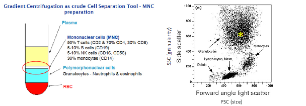 Solved ab What kinds of cells in total blood might you | Chegg.com