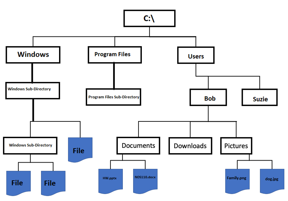 Solved You presently are located in the Windows directory | Chegg.com