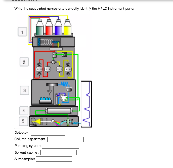 Solved Write the associated numbers to correctly identify | Chegg.com