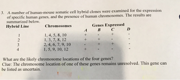 Solved A number of human- mouse somatic cell hybrid clones | Chegg.com