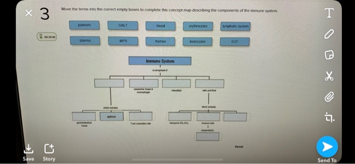 Move the terms into the correct empty boxes to | Chegg.com