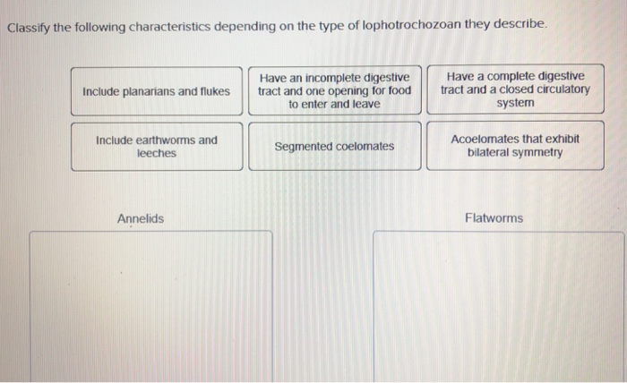 Solved Classify the following characteristics depending on | Chegg.com