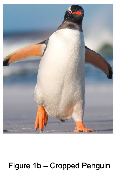 Solved Using Matlab Provide Matlab Coding Important You