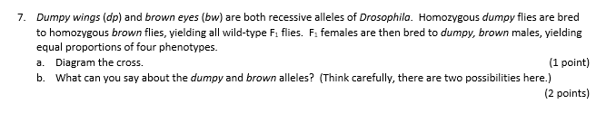 [Solved]: 7. Dumpy wings (dp) and brown eyes (bw) are both