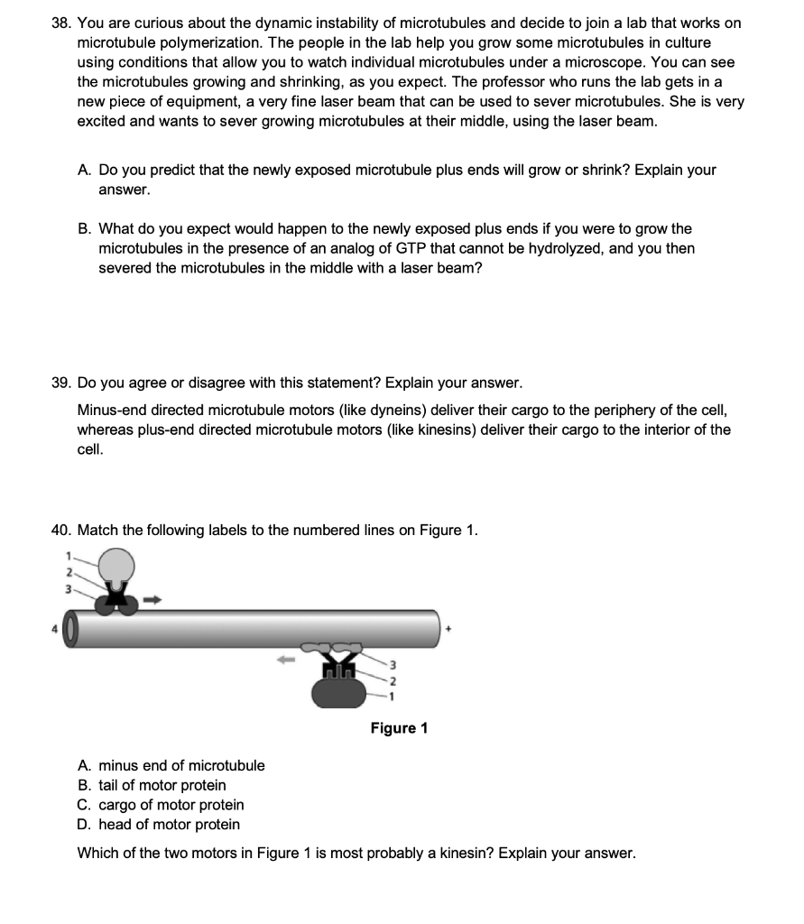 Solved 38. You are curious about the dynamic instability of | Chegg.com