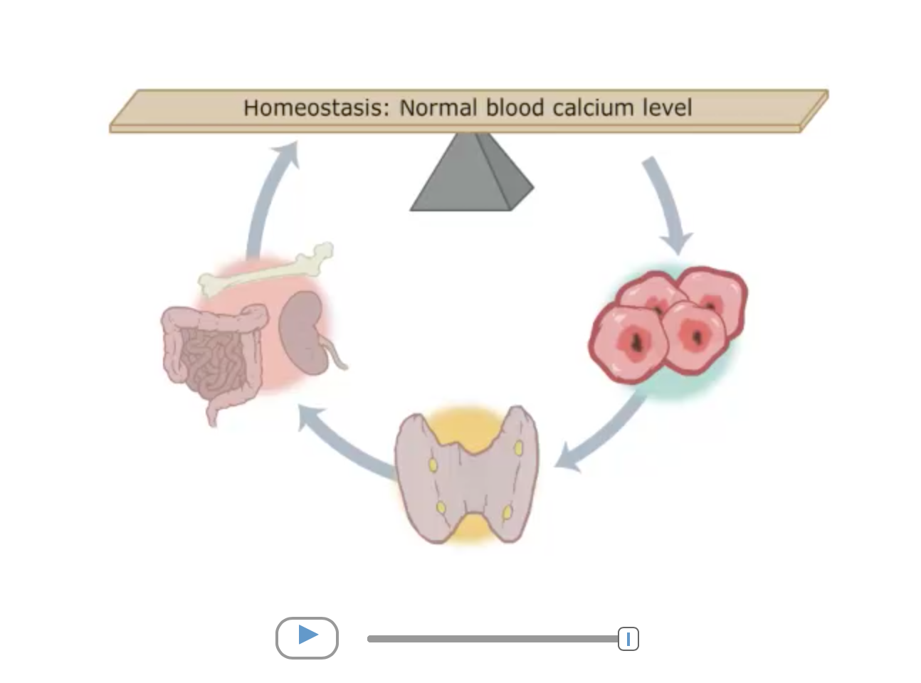 Solved Now, consider how these components of a homeostatic | Chegg.com