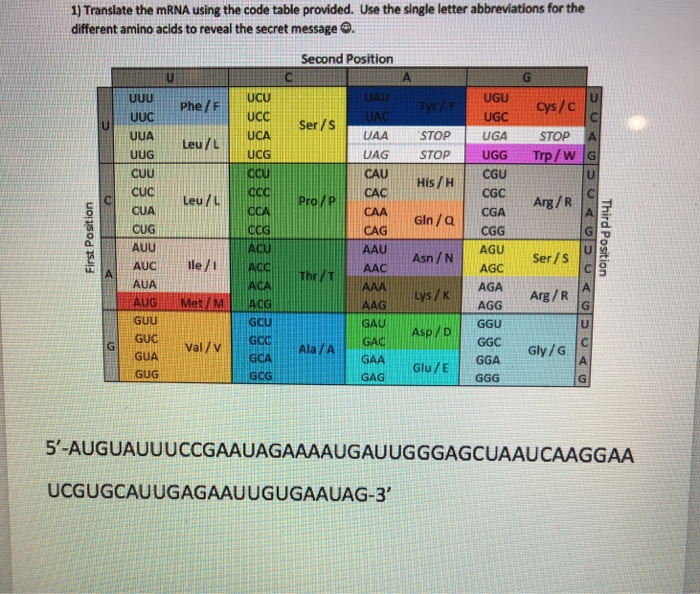 Solved 1) Translate the mRNA using the code table provided. | Chegg.com