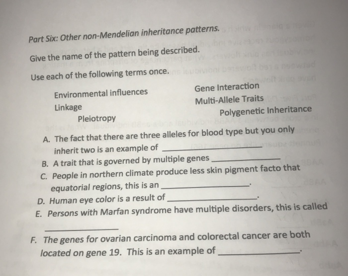 Solved Part Six: Other non-Mendelian inheritance patterns | Chegg.com