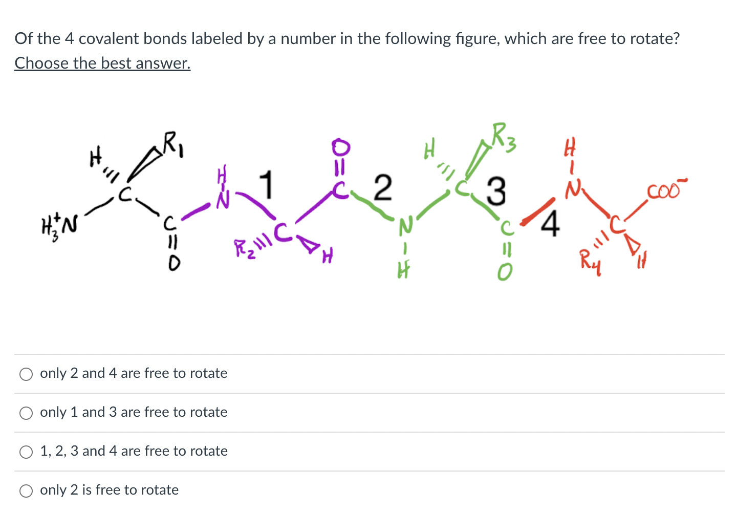 Of the 4 covalent bonds labeled by a number in the | Chegg.com