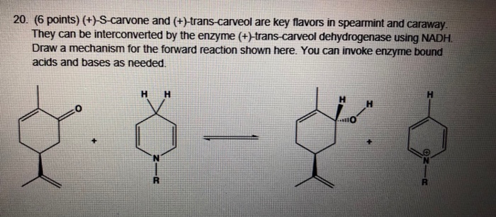 Solved 20. (6 points) (+)S-carvone and (+-trans-carveol are | Chegg.com