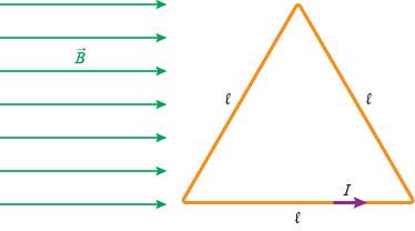 Solved A loop of wire is shaped into an equilateral triangle | Chegg.com